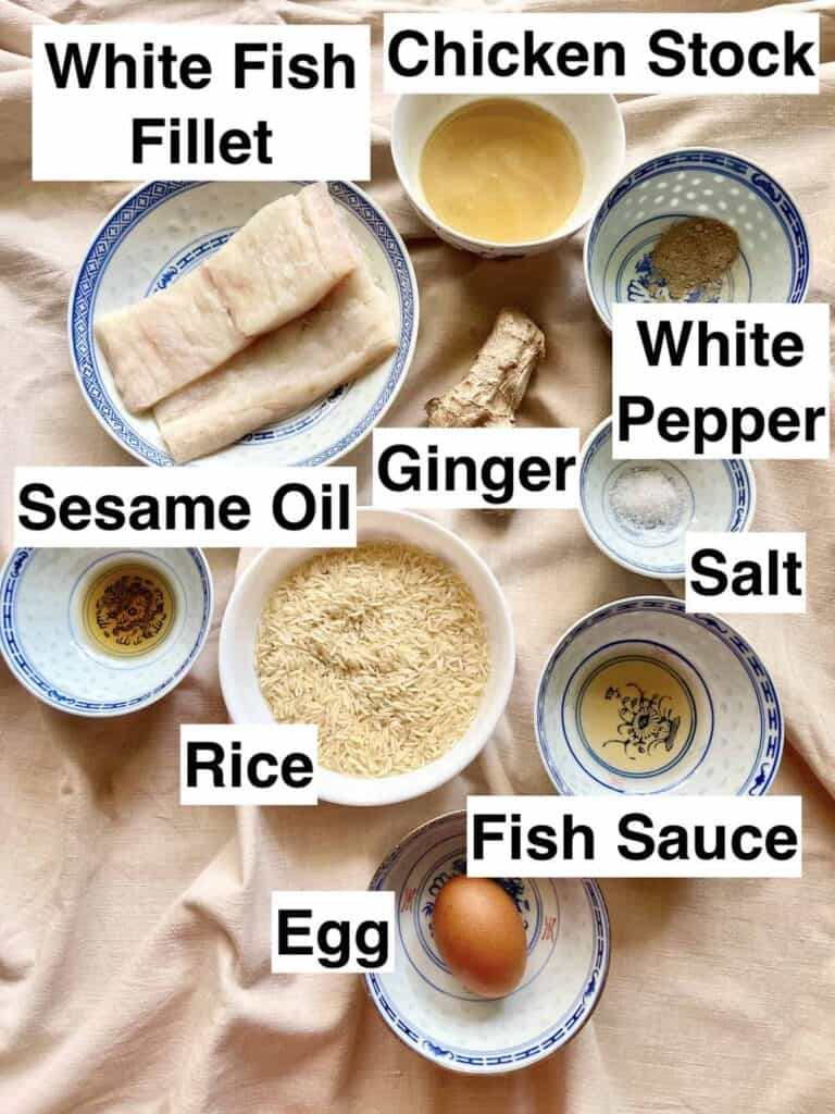 Chinese Fish Congee Recipe 魚片粥 - Greedy Girl Gourmet