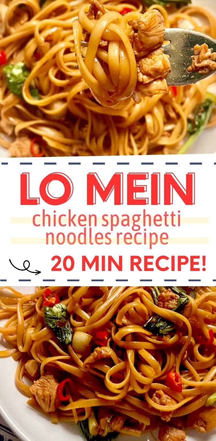 Chicken Lo Mein with Spaghetti Noodles - Greedy Girl Gourmet